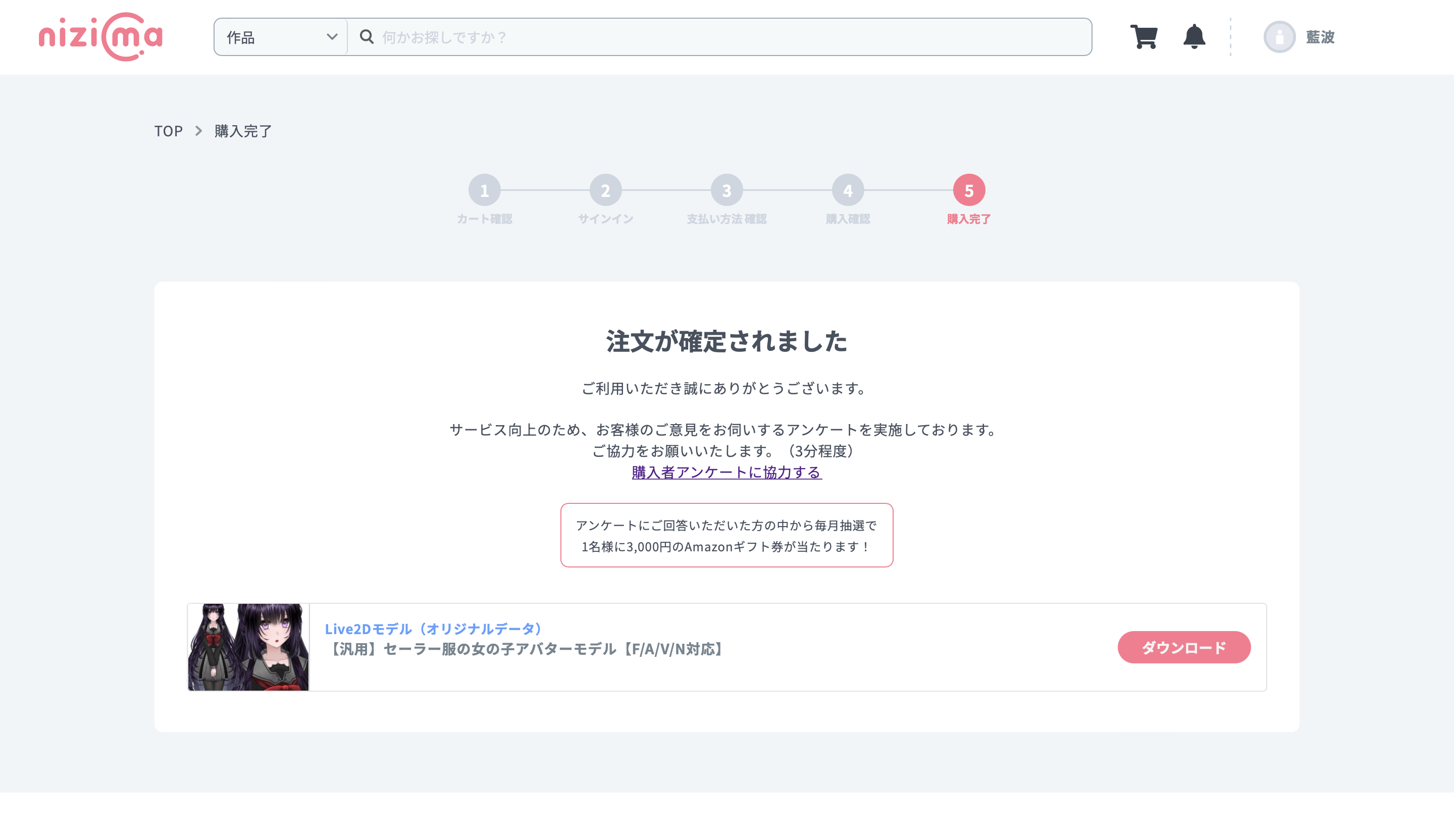 VTuber超初心者が汎用モデルをnizimaで購入してみた！購入方法からVTube Studioへのインポートまでの流れと注意点を徹底解説 | VTuberモデル | スコマガ -好きを応援 ...